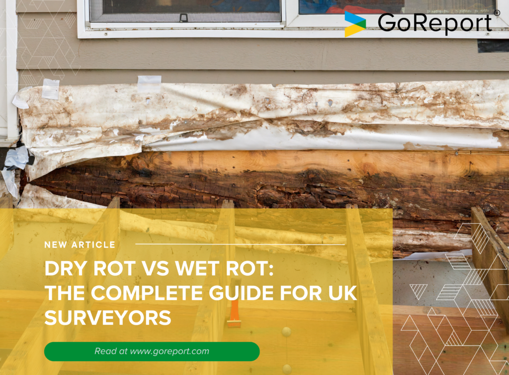 Dry Rot vs Wet Rot: Guide for UK Surveyors - Go Report