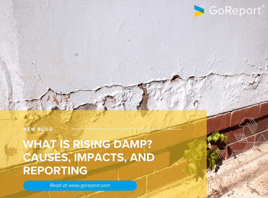 What is Rising Damp? Causes, Impacts, and Reporting